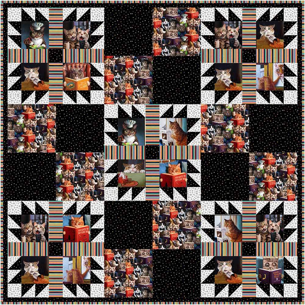 Cat's Meow - Deborah G. Stanley - Quilt Kit – Keepsake Quilting